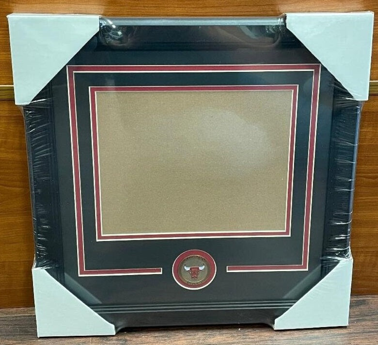 Chicago Bulls Horizontal 16x20 Photo Frame – Great Moments Sports Cards